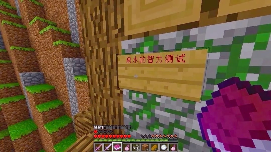 我的世界五行传——认真答题,结果BOSS呢?