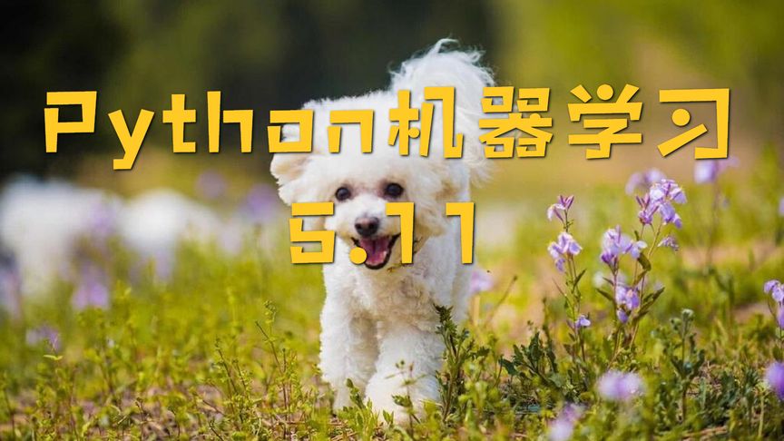 【Python机器学习】5.11