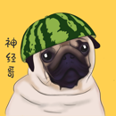 神经哥解说 