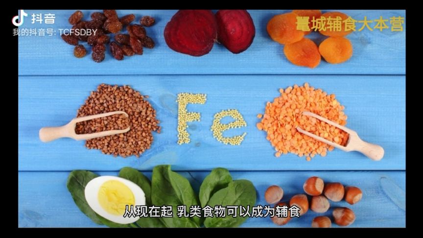 营养学:论宝妈简述10个月婴儿食谱