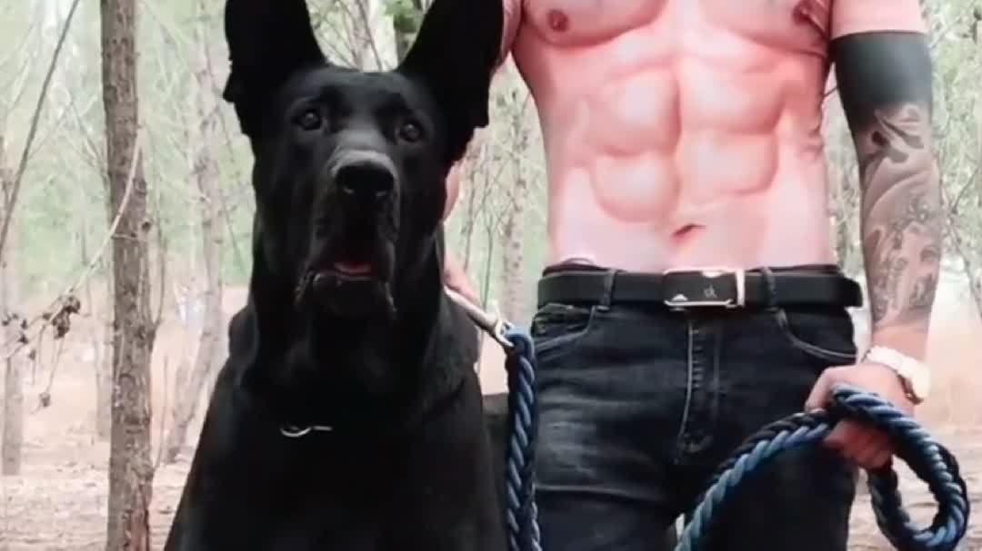 墨界黑狼犬——中国制造