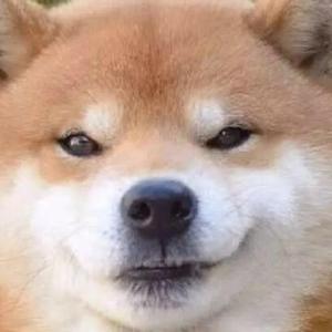 视频分拣师 