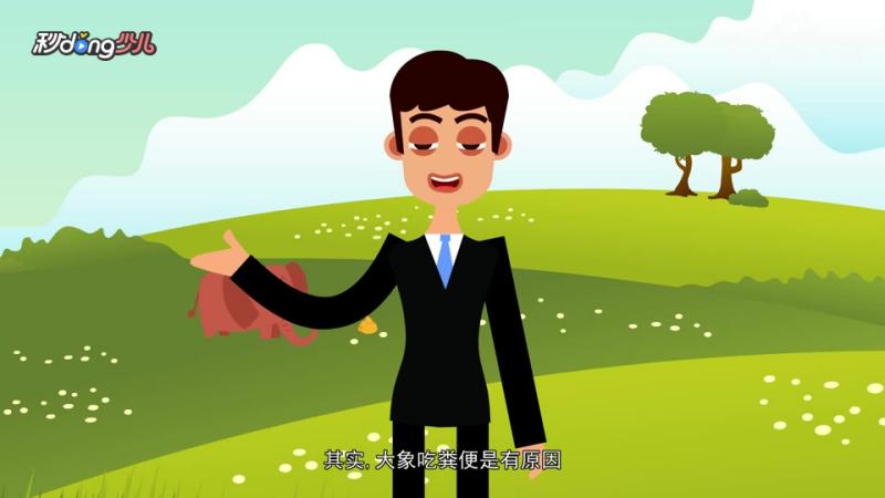 大象为什么吃粪便?