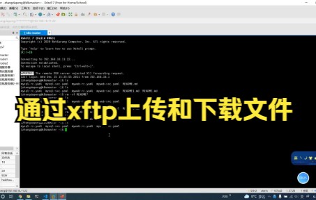 【linux操作系统】通过xftp上传和下载文件,超级简单。