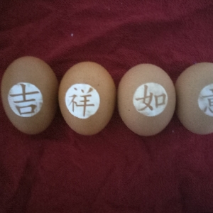 春风化雨-大师兄 