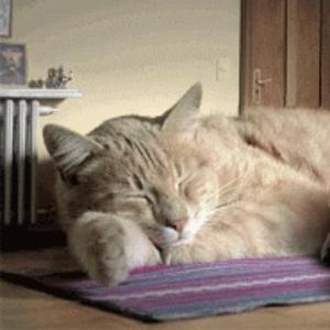 科普听会歌女方的方法 