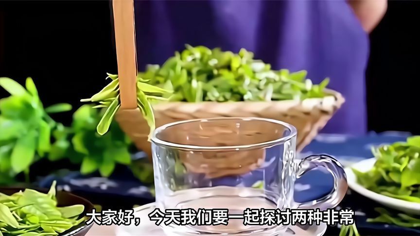 红茶和绿茶有什么区别?绿茶和红茶养生不同,并适合在不同季节喝