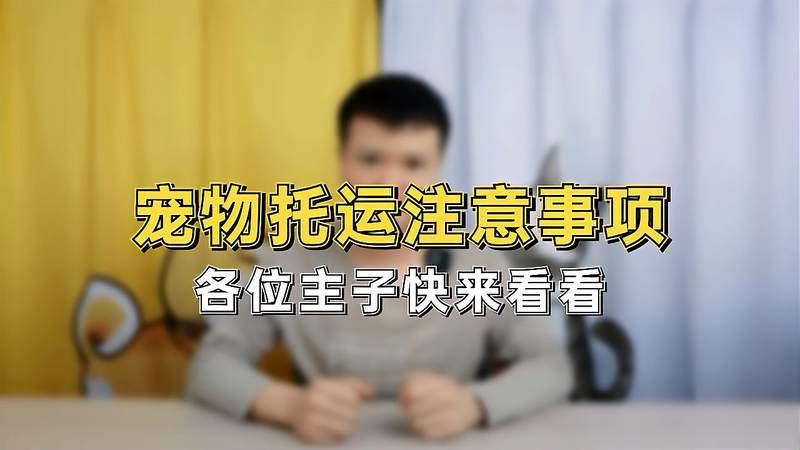 宠物托运注意事项,各位主子快来看看!