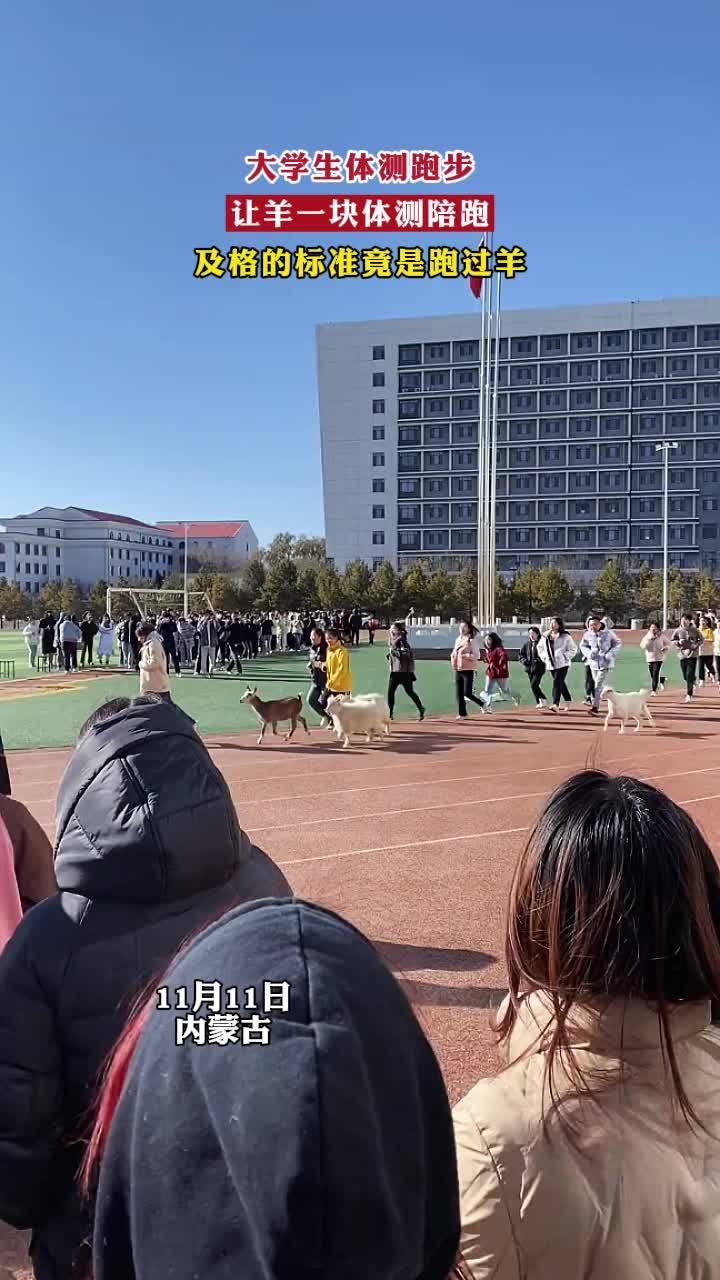 大学生体测跑步,让羊一块体测陪跑,及格的标准竟是跑过羊