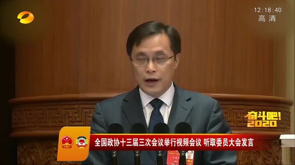 全国政协十三届三次会议举行视频会议,听取委员大会发言