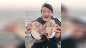 美女海边捡蚌壳 打开后大喜 因为里边都是珍珠!