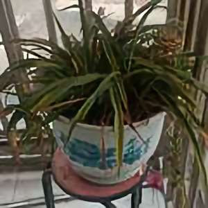 宝贝小钰 