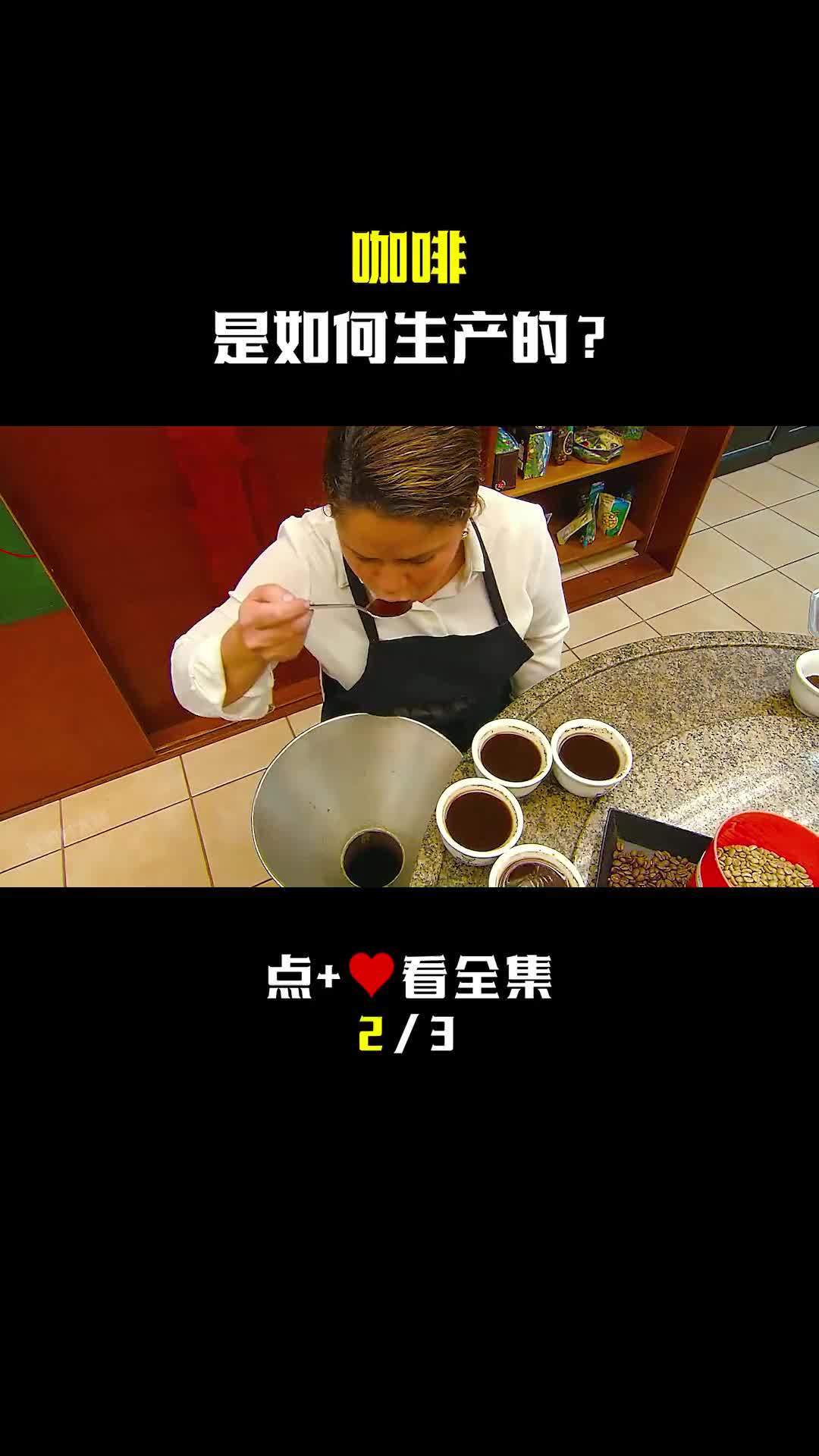 咖啡是如何生产的