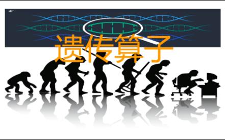 【遗传算法】4-遗传算子选择交叉变异