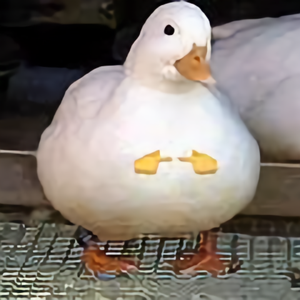 玛格丽塔塔 