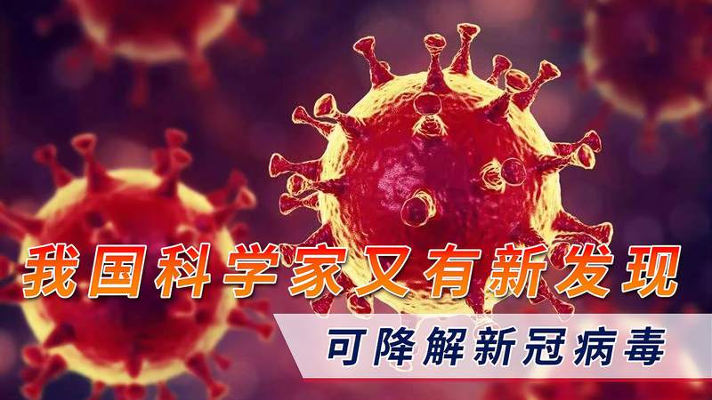 如何治疗新冠肺炎患者?我国科学家发现一新方法,可降解新冠病毒