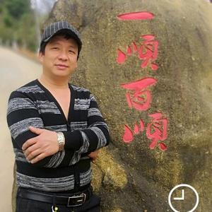 勇敢的百灵鸟tR4 