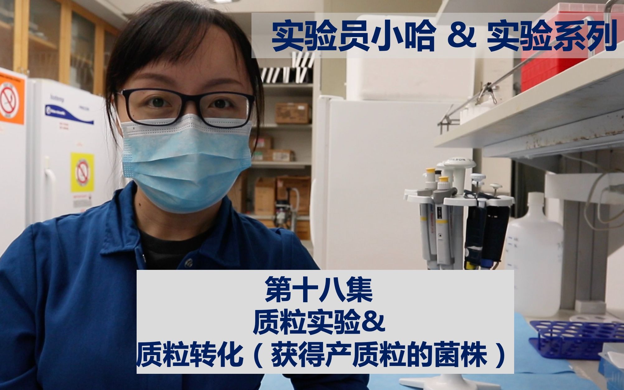 实验员小哈&实验系列 - 第十八集 - 质粒转化(获取产质粒的菌株)