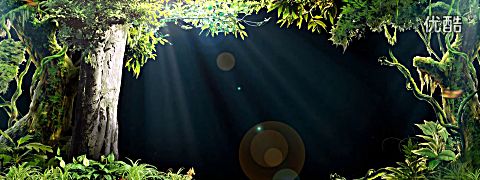 L156高清唯美森林绿3D幻影全息