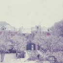 炎龙王子q1277