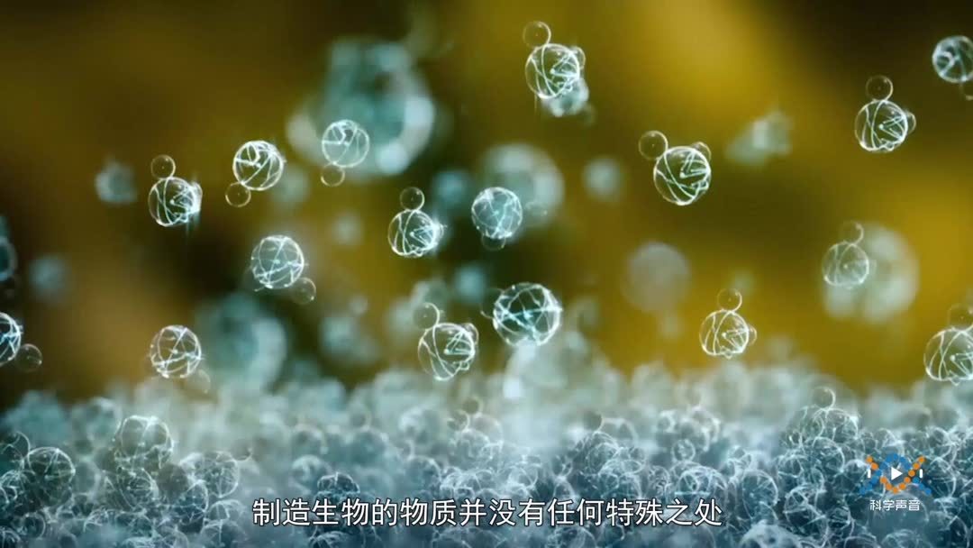 无论是金鱼,白菜还是人,构成它们的基础元素都是碳,氢,氧,氮