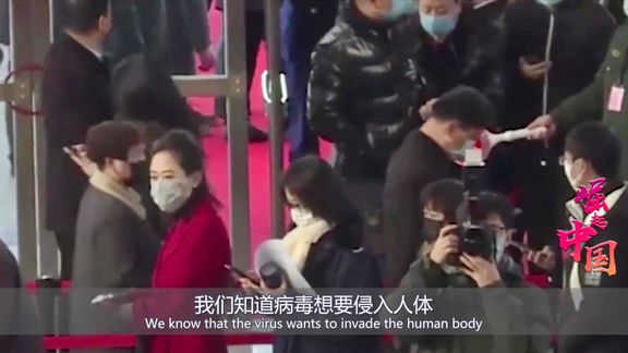 美研究首次实验证实:新冠病毒并不能通过蚊子进行传播