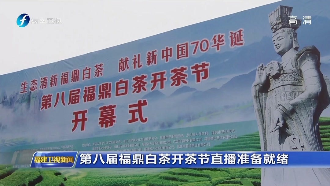 第八届福鼎白茶开茶节直播准备就绪