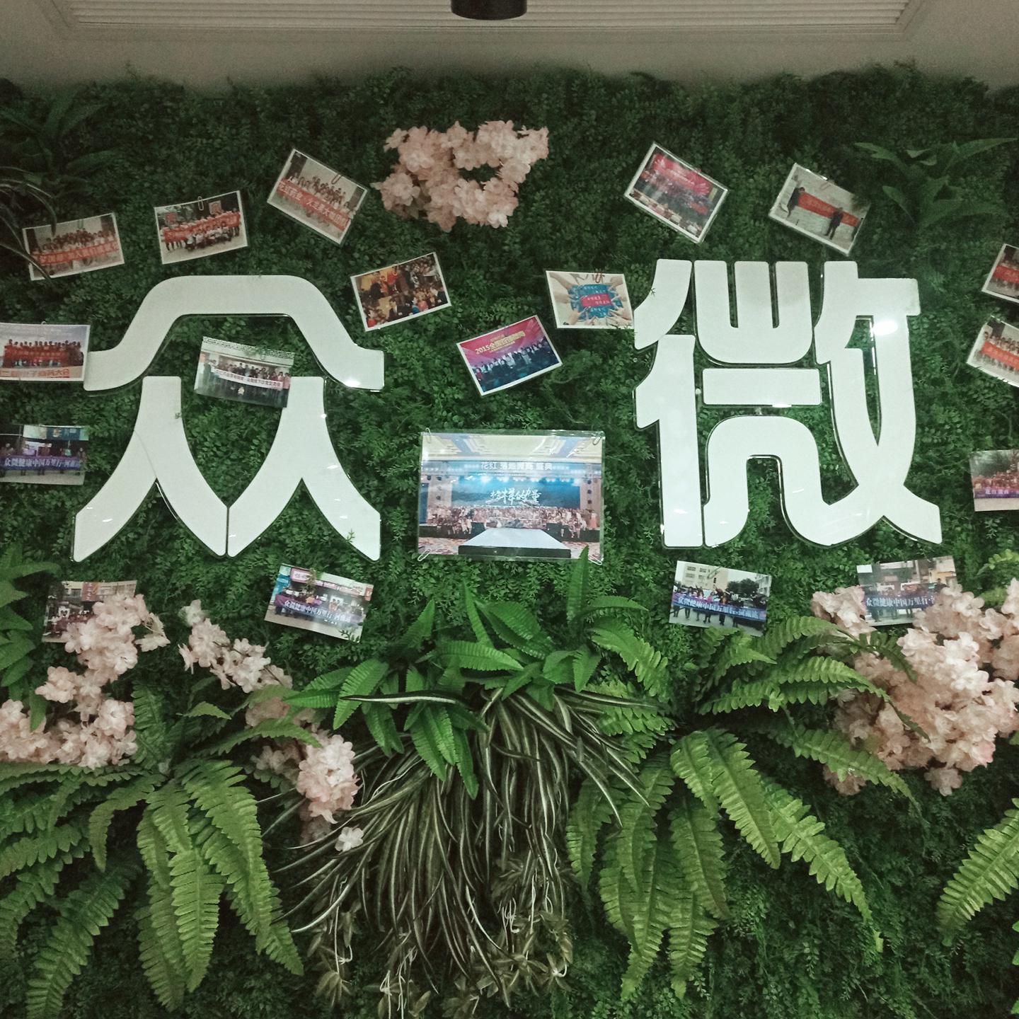 众薇软件解说 