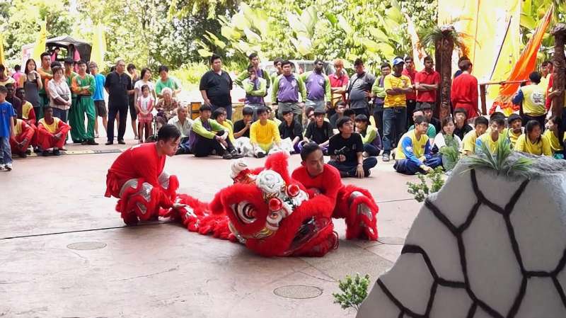 2019年传统舞狮比赛,双威忠胜醒狮团出演