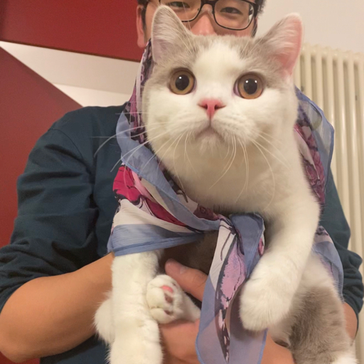 在星星上的喇叭匠 