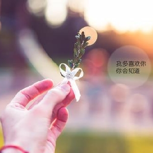 小说后花园 
