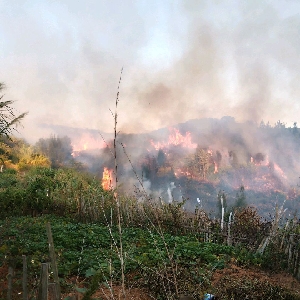 火了火了真好吃 