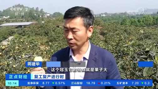 [正点财经]复工复产进行时 四川华蓥:冠玉枇杷甜 采摘销售不空闲
