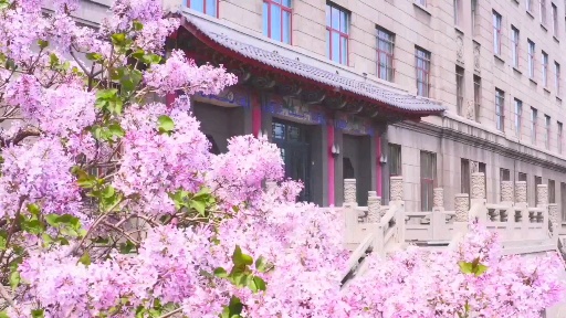#哈尔滨工程大学#你想#开学#了嘛?