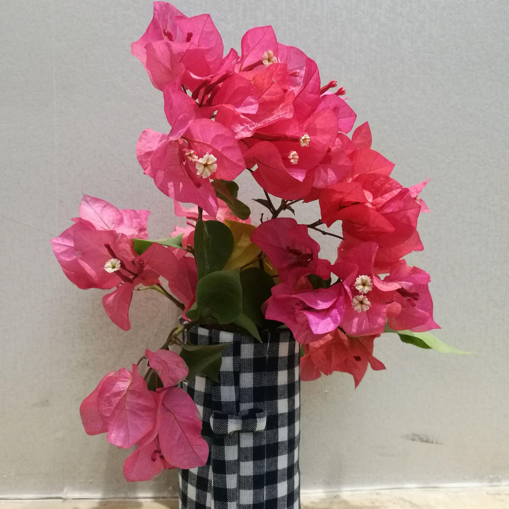 格子格子爱生活 