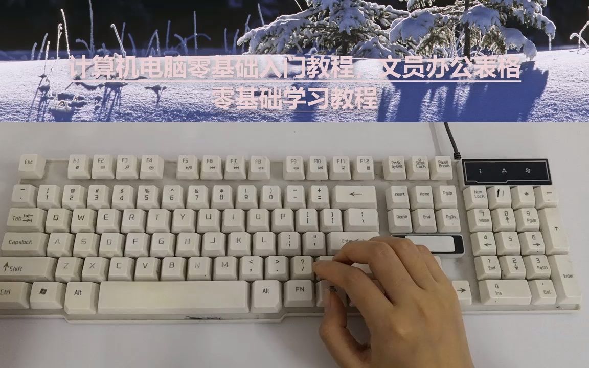 新手0基础学电脑入门视频教程,认识鼠标的基本操作