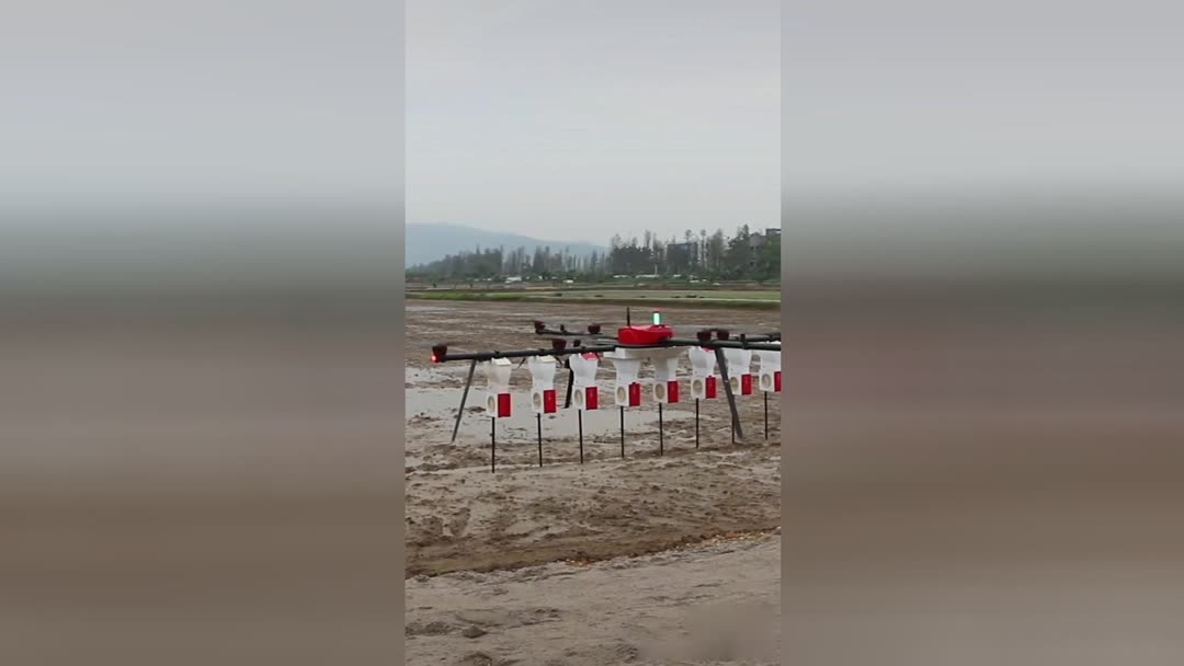 春耕播种了,2019年春耕水稻直播