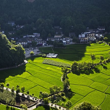 飞龙哥在农村 
