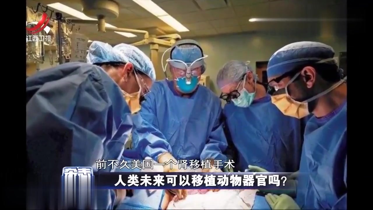 杂志天下:人类未来可以移植动物器官吗?