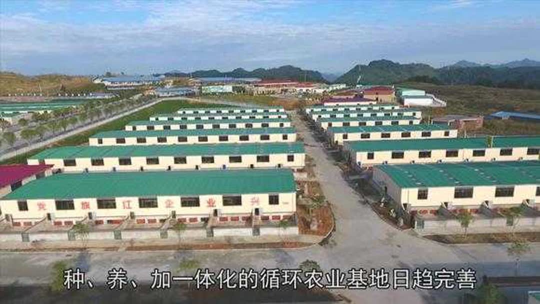 总投资1.23亿,标准化山羊育种基地,种、养加一体化循环农业模式