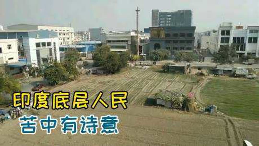印度底层人民生活环境啥样?苦中有诗意