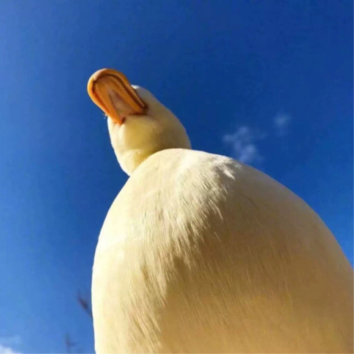 一千二百万 