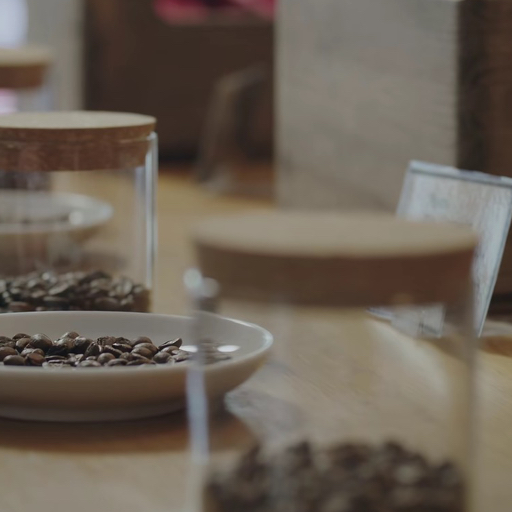 Ai力学-趣味分享 