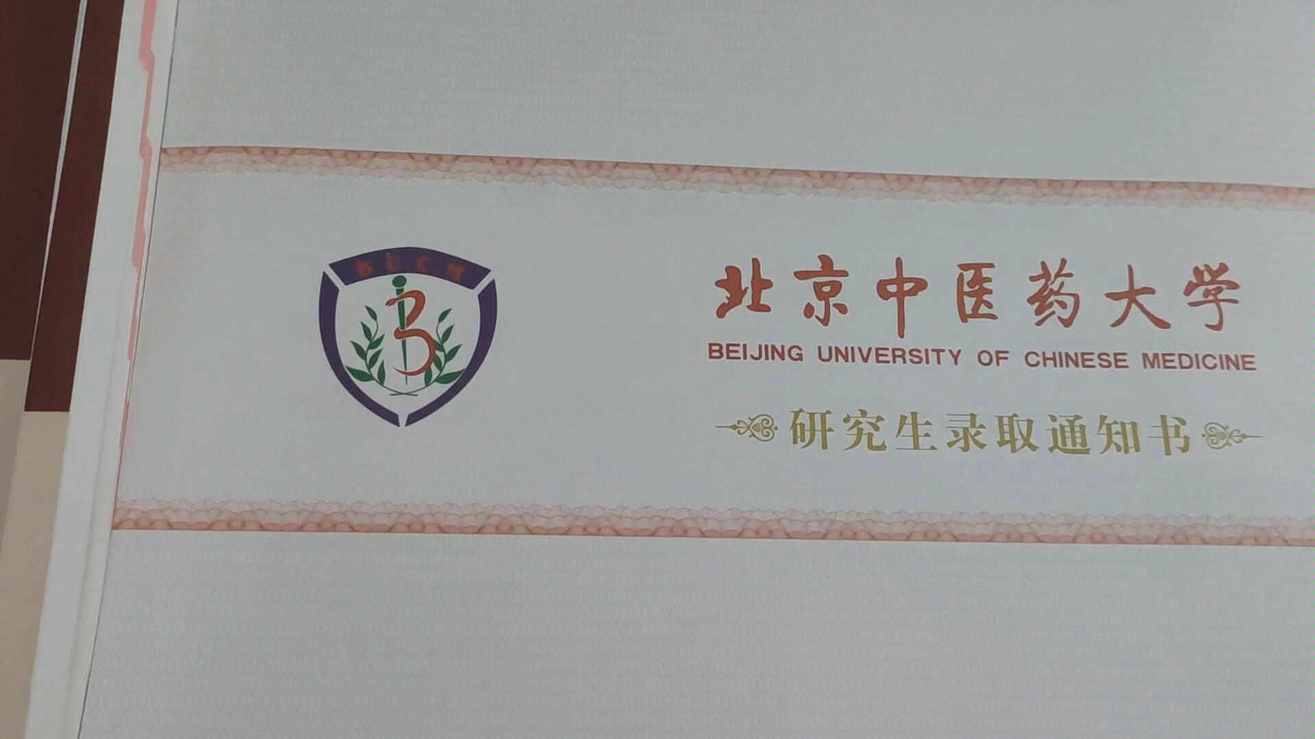 [如何制定一份计划]干货向,唠嗑模式,睡前还可以用来催眠!保姆级计划...