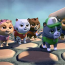 小猫猫的历险记 