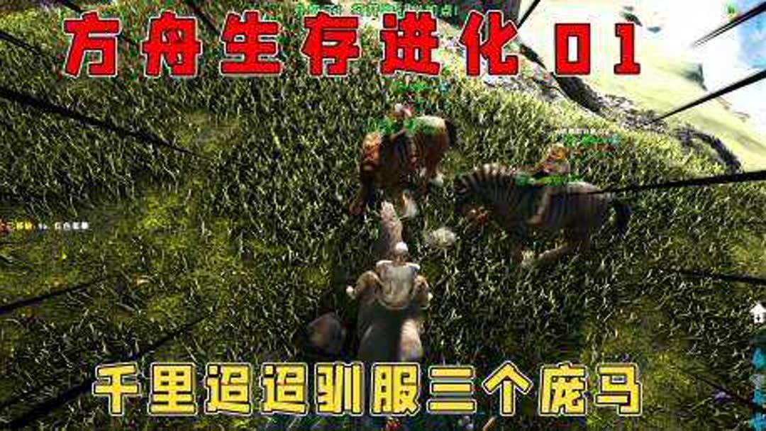 方舟生存进化01:暗墨带俩傻憨憨驯服庞马,多米一路表示太难了!