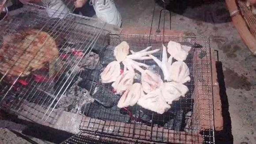 新型冠状病毒肺炎爆发期不敢出门,姐妹俩在家烤烧烤,色香味俱全