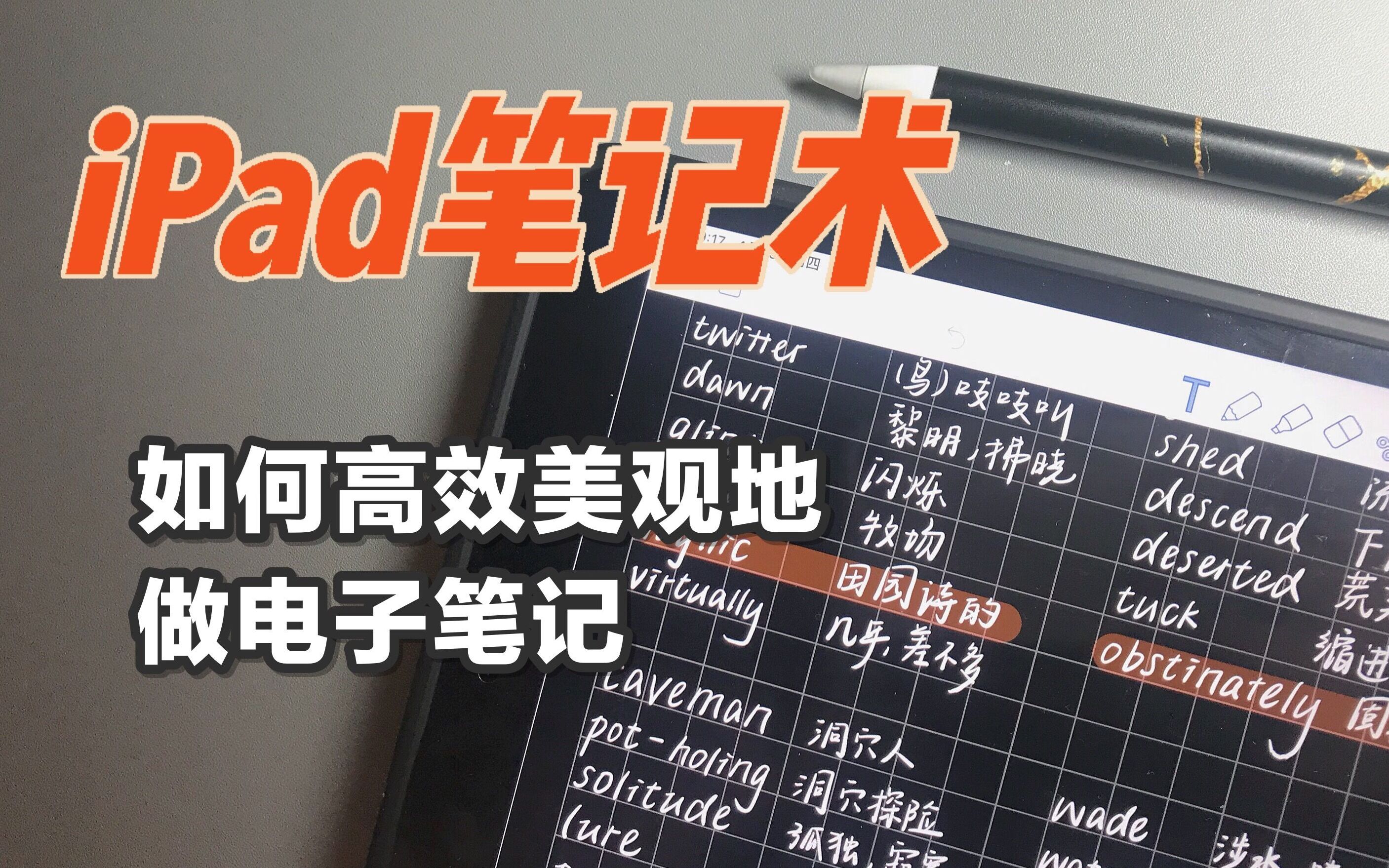 【iPad笔记术】超干货!如何高效美观地做电子笔记?技巧|写字|排版|...