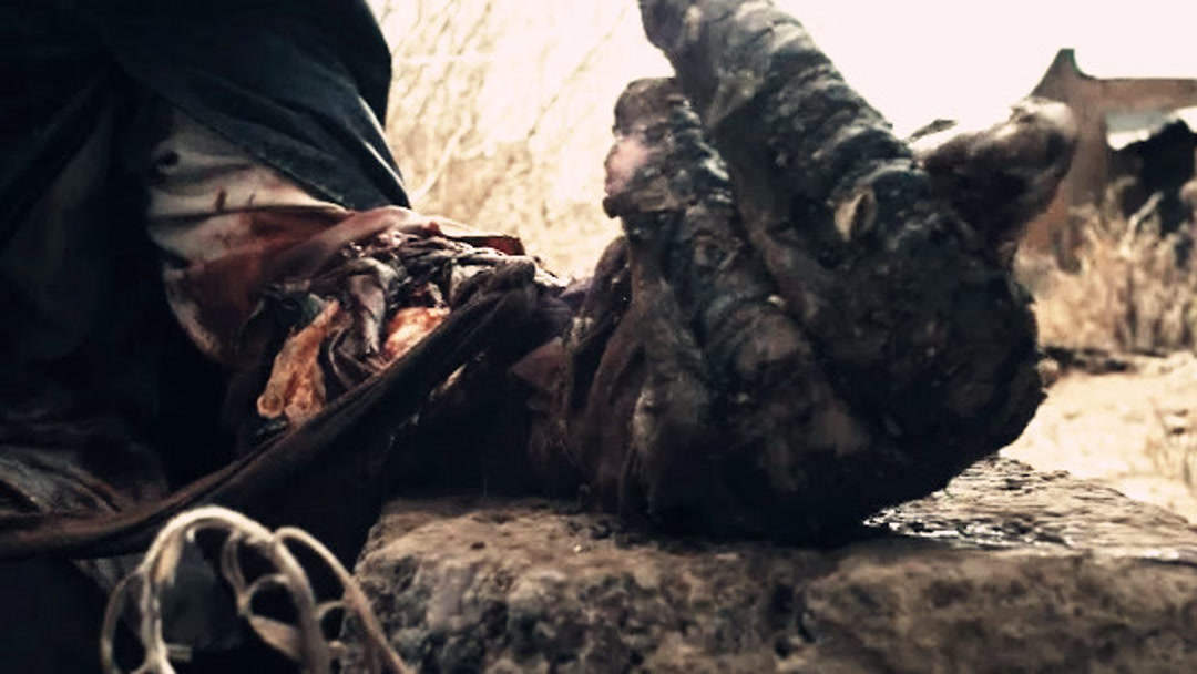 警察感染了外星人病毒,手变异成了鸡爪,只能躲在垃圾堆中!