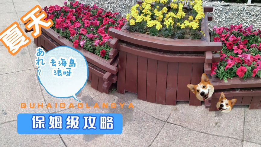 信任的力量~培养宝宝的高情商